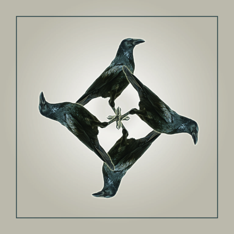 Projects - CHIP DAVIS